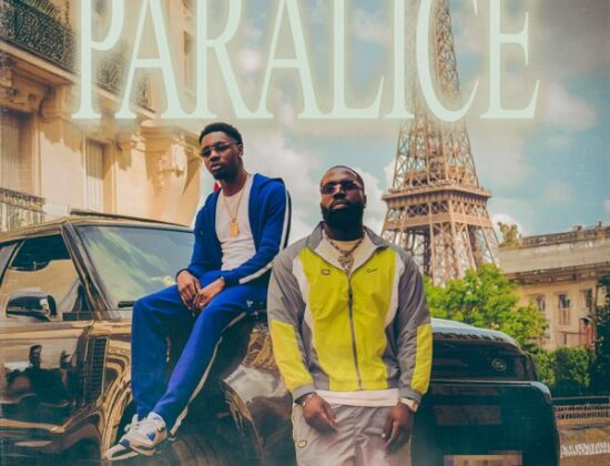 Barnaba feat Diamond Platnumz - Salama (Lyrics) - afroduc.com